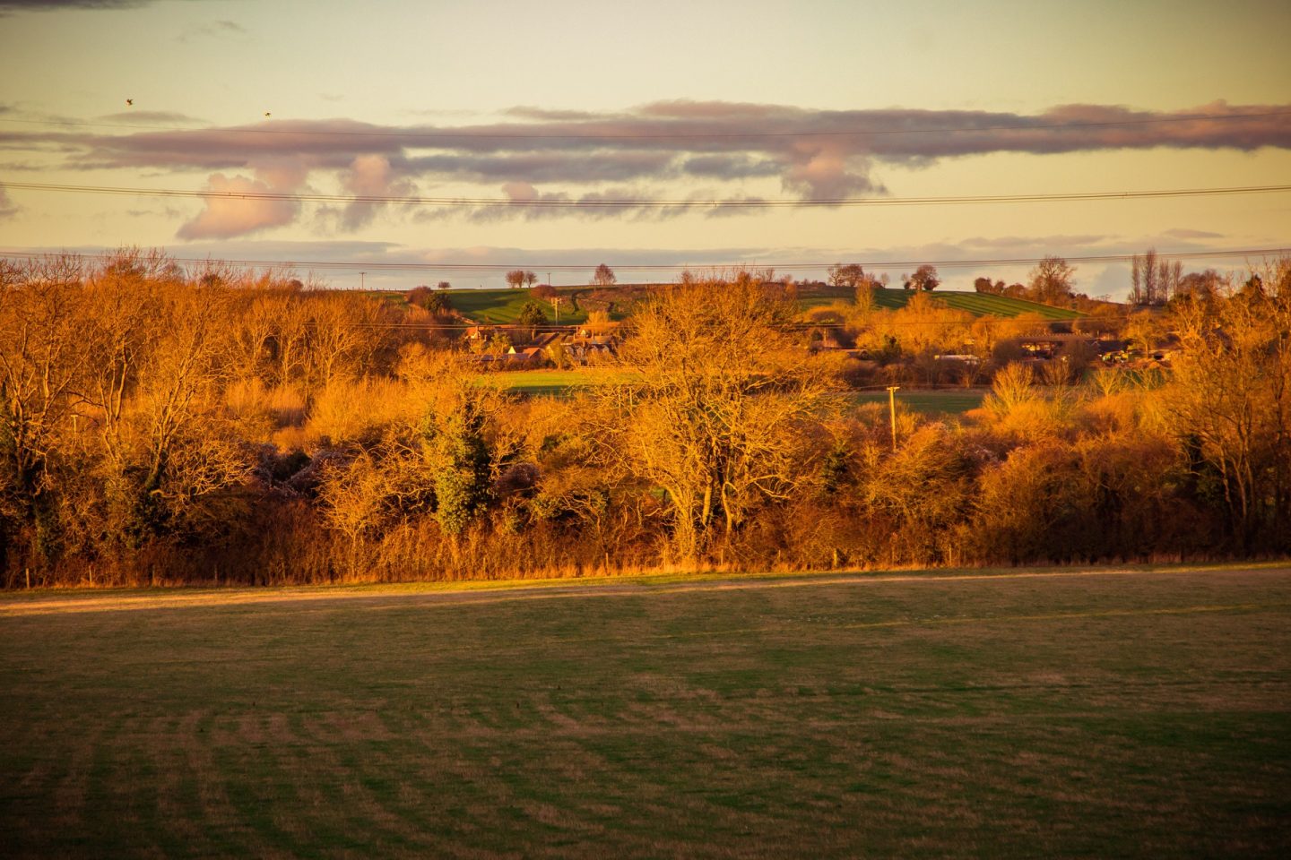 HRN1 Archaeology dig help tells history of the town - Linmere