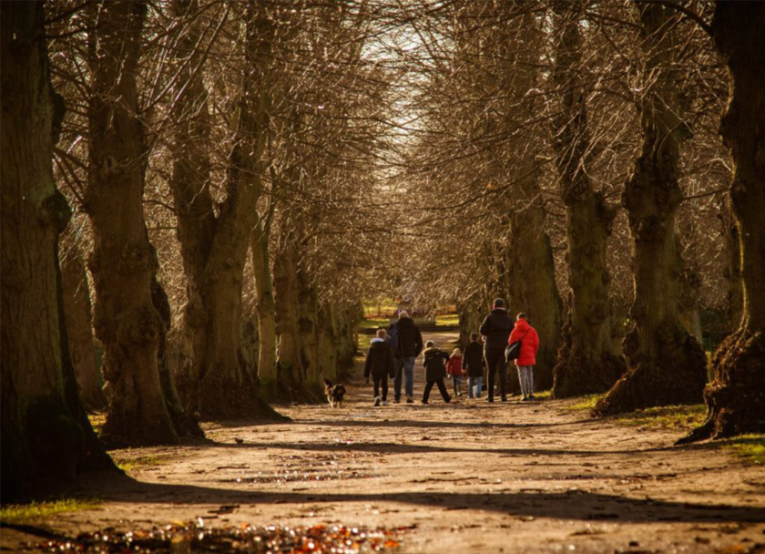 A place to put down roots - Linmere