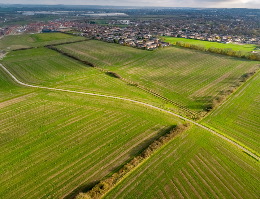 Linmere Walking Loops - Linmere