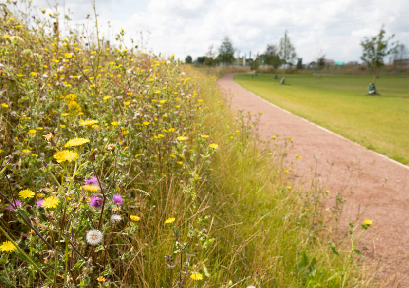 Sustainable travel around Linmere - Linmere