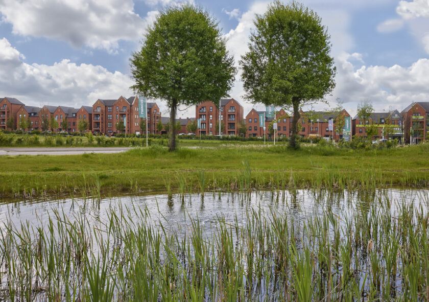 Masterplan Timeline - Linmere