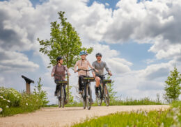 Area Master Plan 3 (AMP3) - Linmere