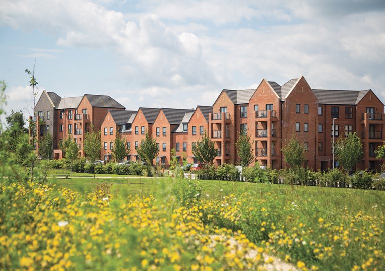 A place to put down roots - Linmere