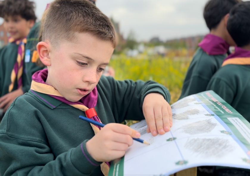 Discover our Tiny Acorns Explorer Trail - Linmere